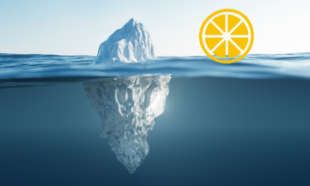 Fixing root causes or surface issues ? - lemon-boost.org